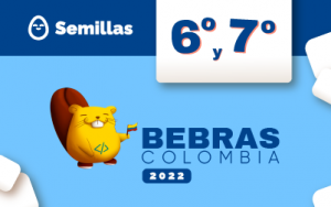 Bebras Colombia – EasyThink